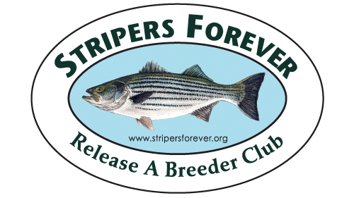 Release A Breeder Club 2021 : Stripers Forever Release A Breeder Club 2021 : Stripers Forever
